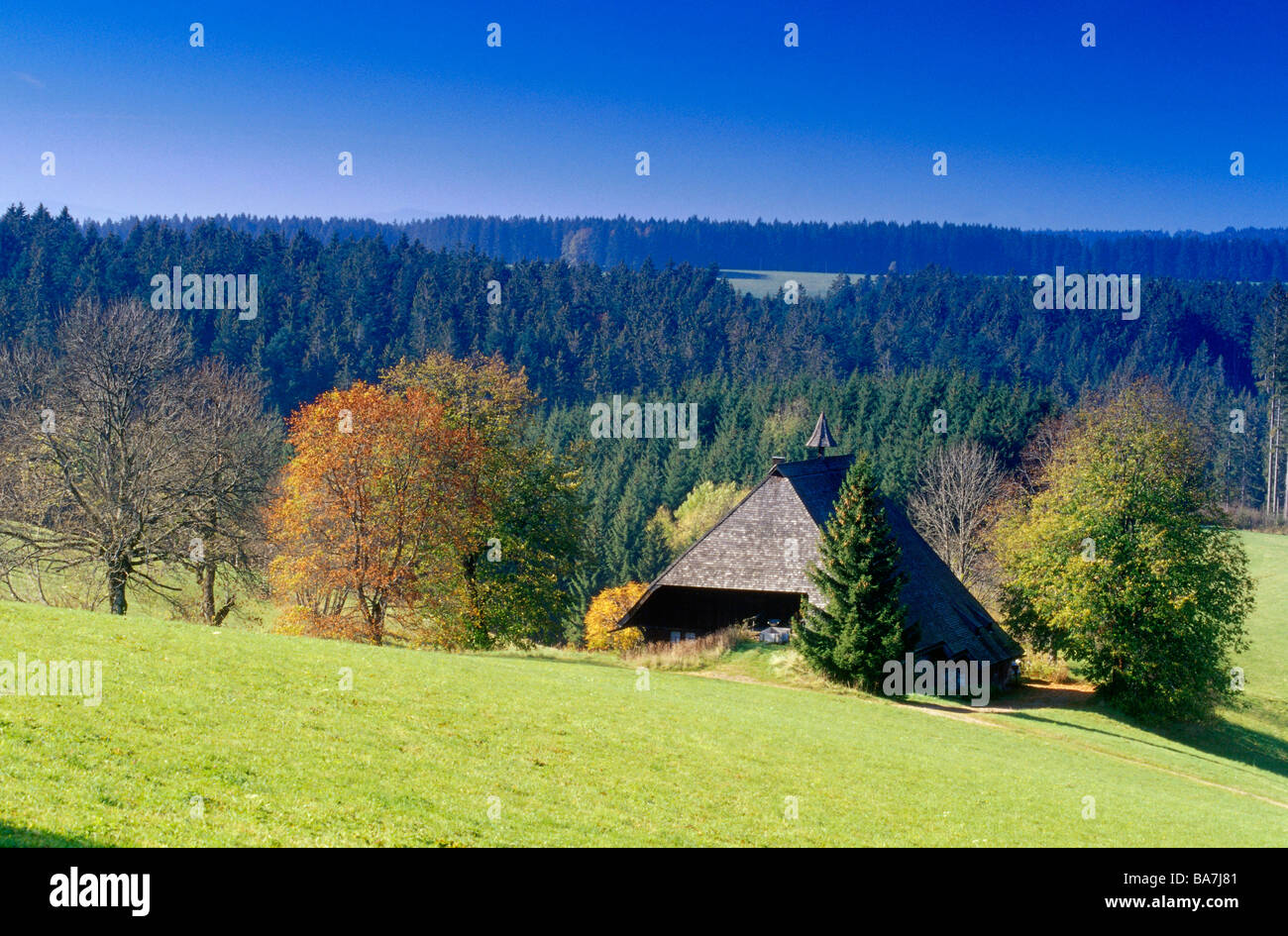 Farm near Furtwangen, Black Forest, Baden-Wurttemberg, Germany Stock ...