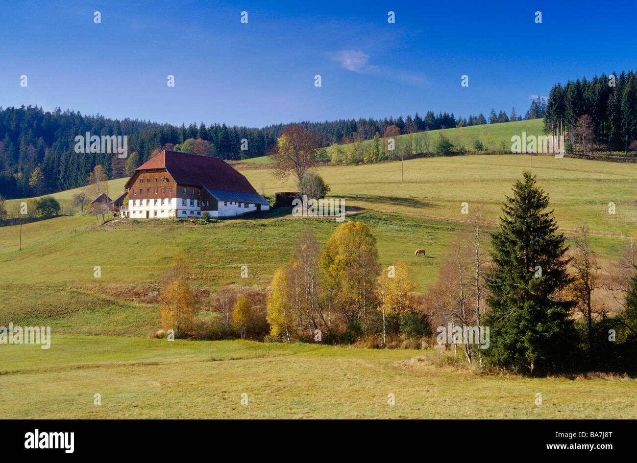 Farm near Furtwangen, Black Forest, Baden-Wurttemberg, Germany Stock ...