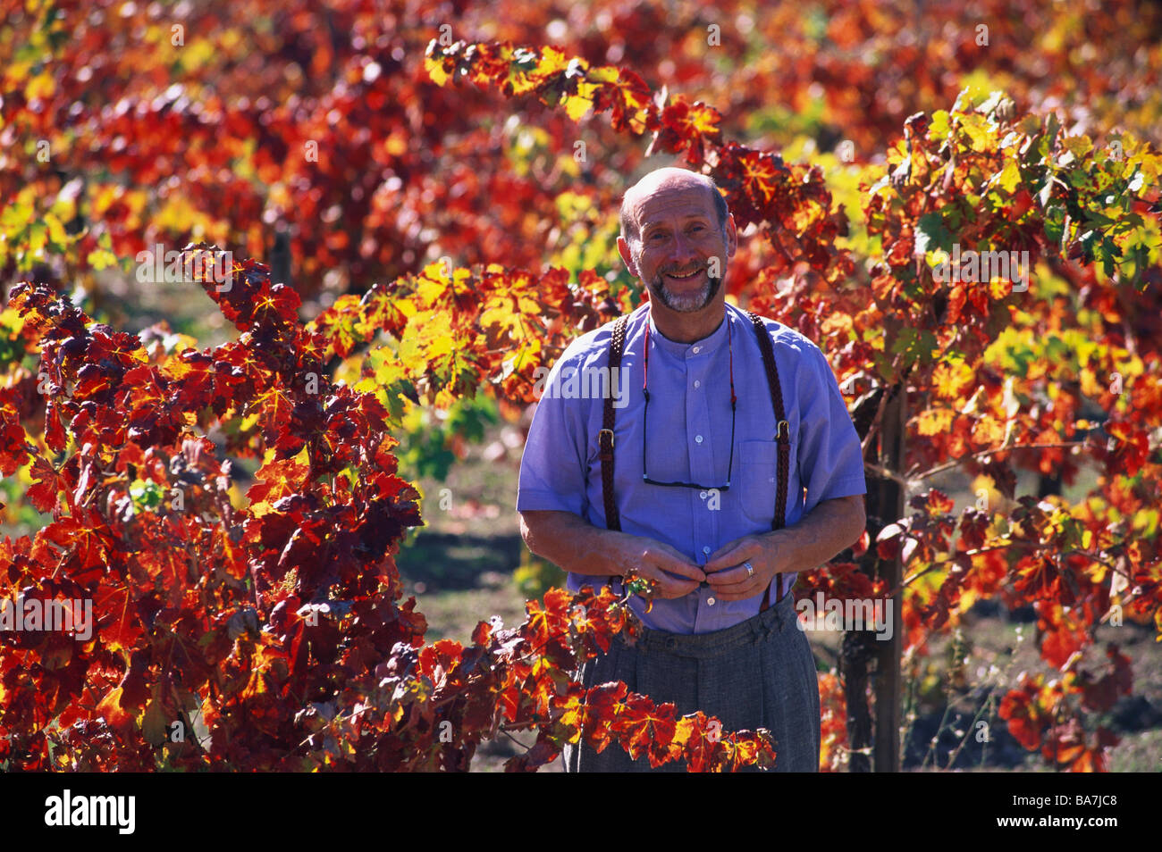 Manfred Esser, man standing next to vines, Cuvaison Winery, Calistoga ...