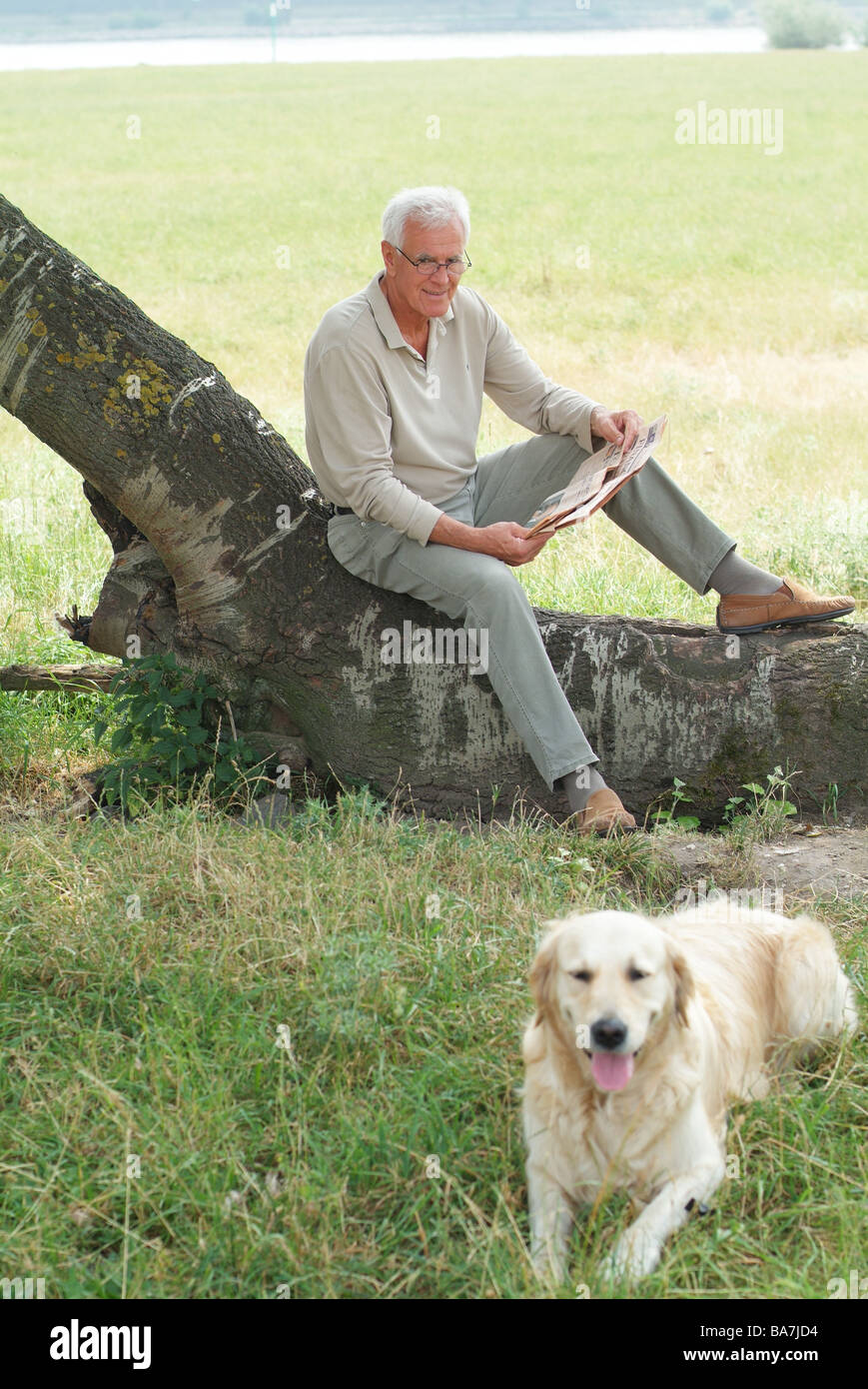 Meadow senior log sits newspaper reads dog summers series people ...