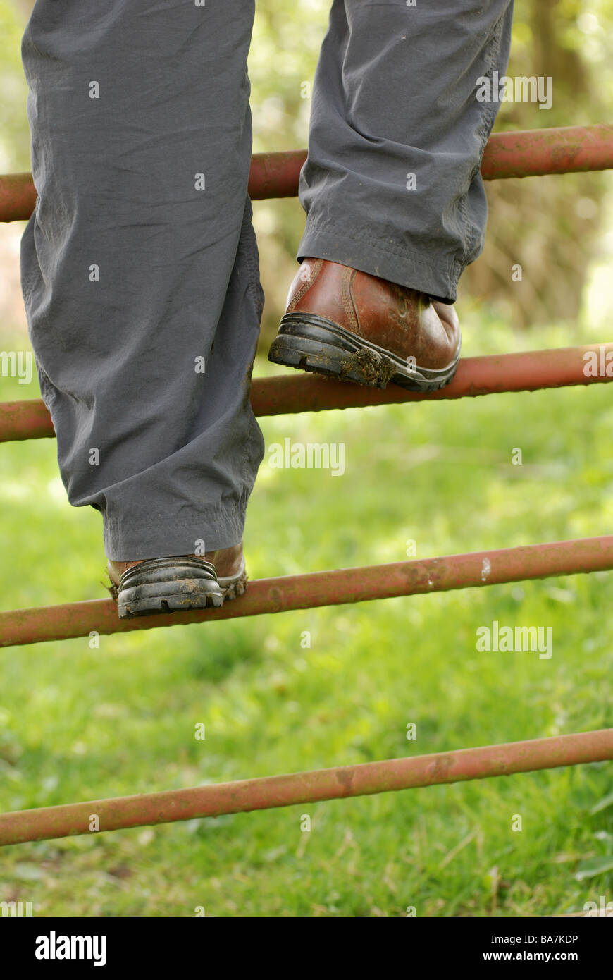 Old Woman Climbing Gate at Melvin Slater blog