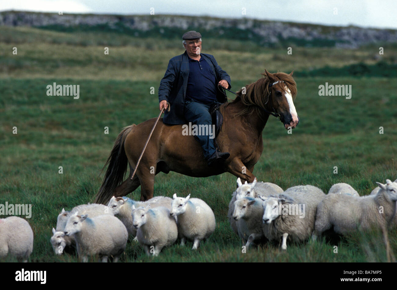 Shepherd wales hi-res stock photography and images - Alamy