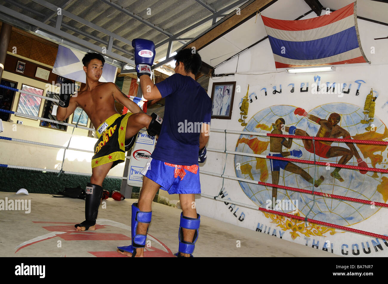 Two men Thai boxing in Khaosan district, Bangkok, Thailand Stock Photo ...