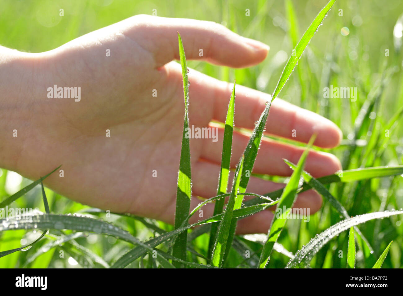 Grass and hand Stock Photo - Alamy