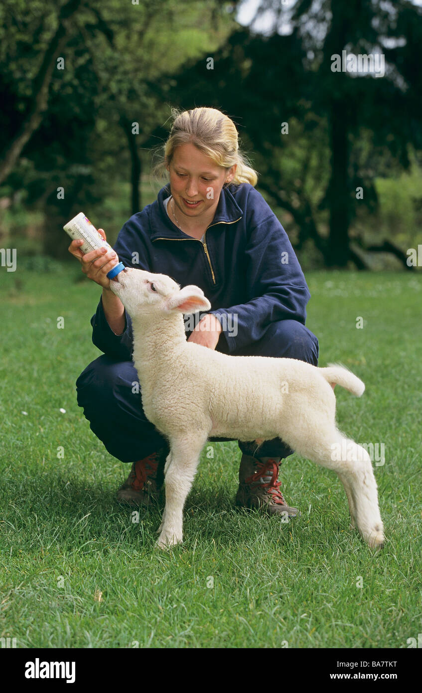 Woman feeding lamb hi-res stock photography and images - Alamy