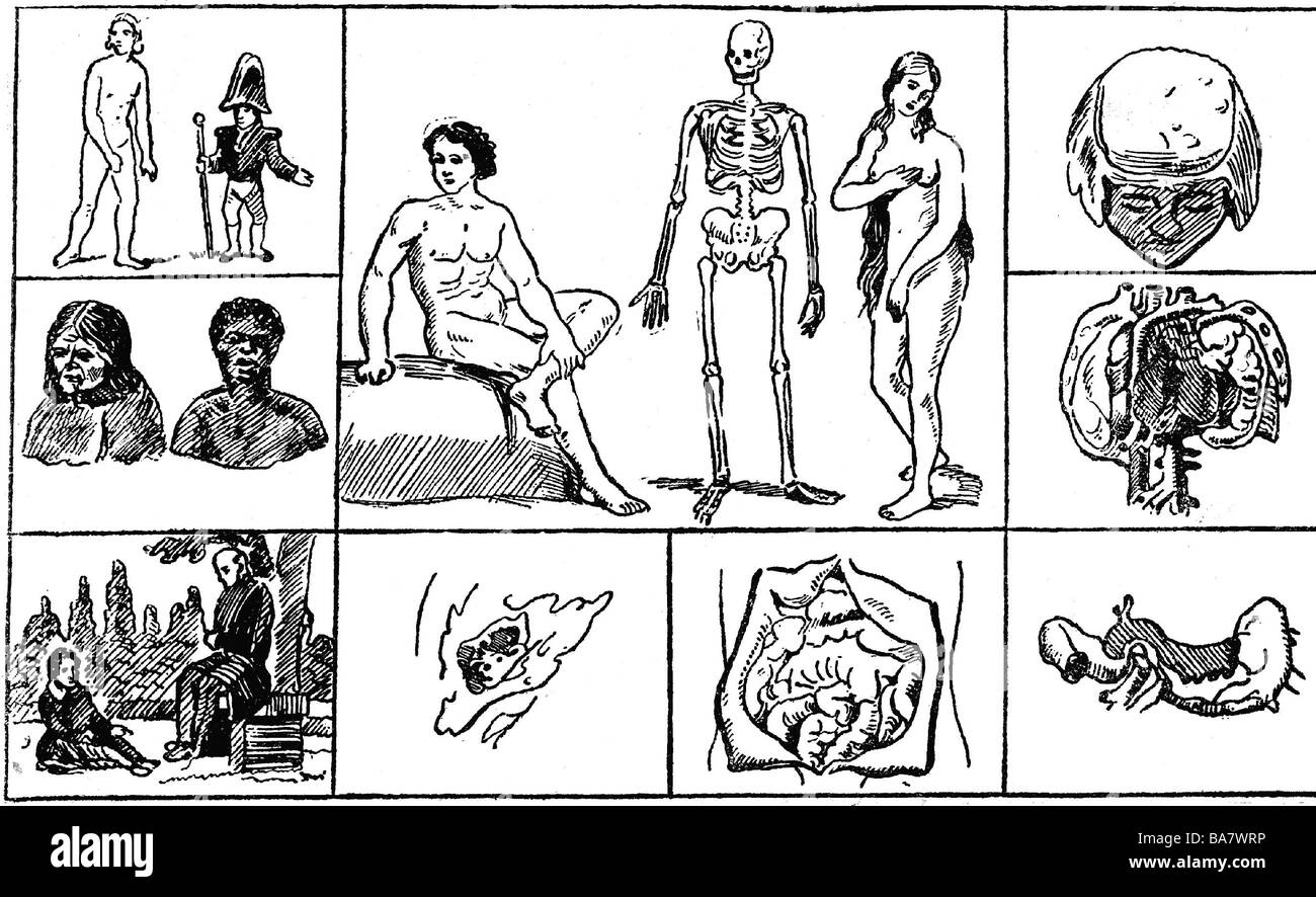 Czech scientist hi-res stock photography and images - Alamy