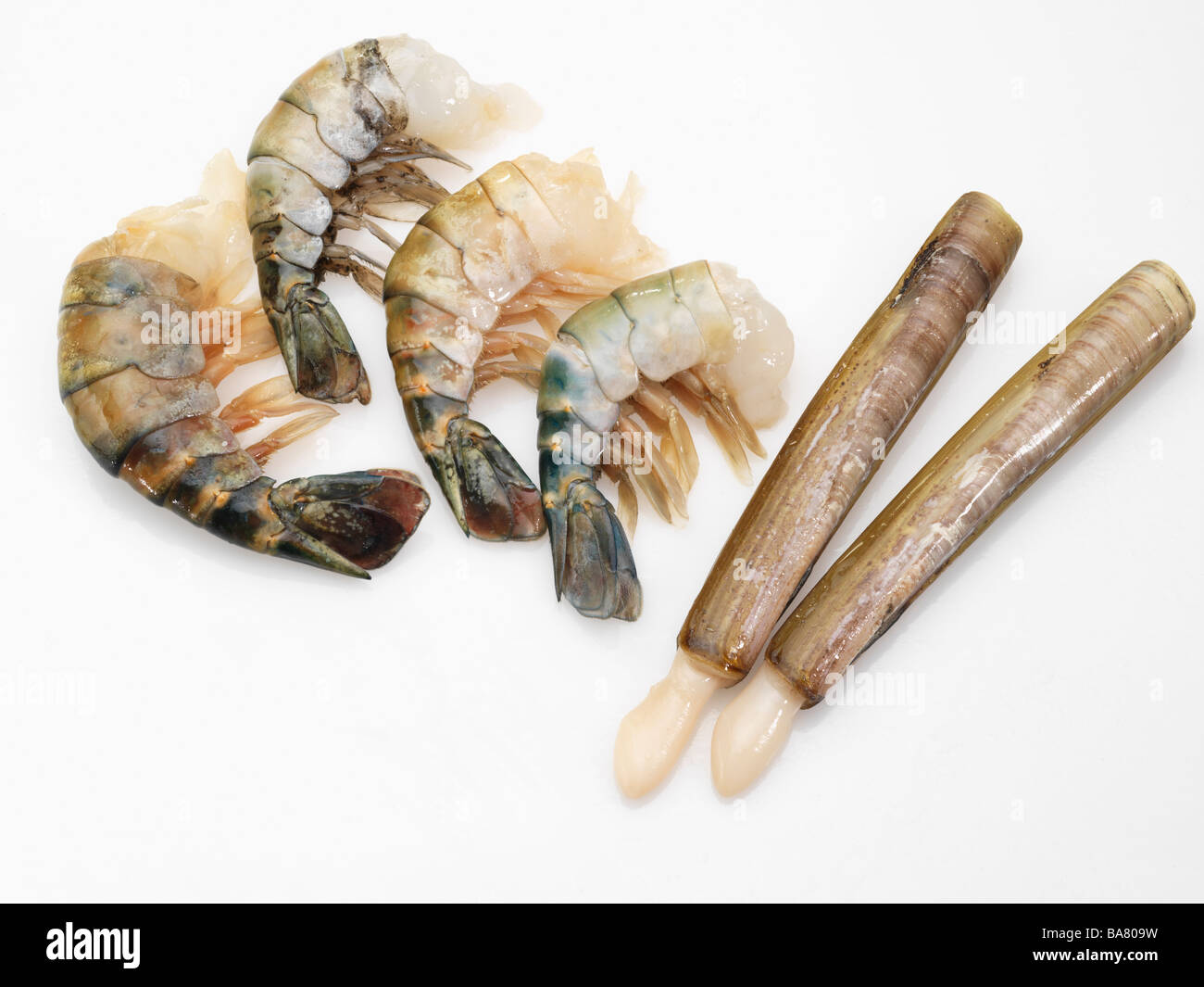 Razor clams hi-res stock photography and images - Alamy