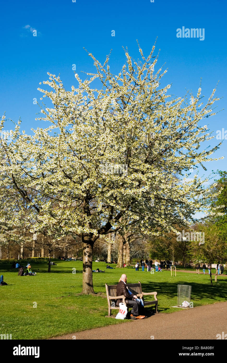 Blossom st london hi-res stock photography and images - Alamy