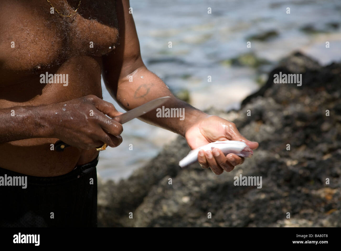 Caribbean Delicacy High Resolution Stock Photography and Images - Alamy