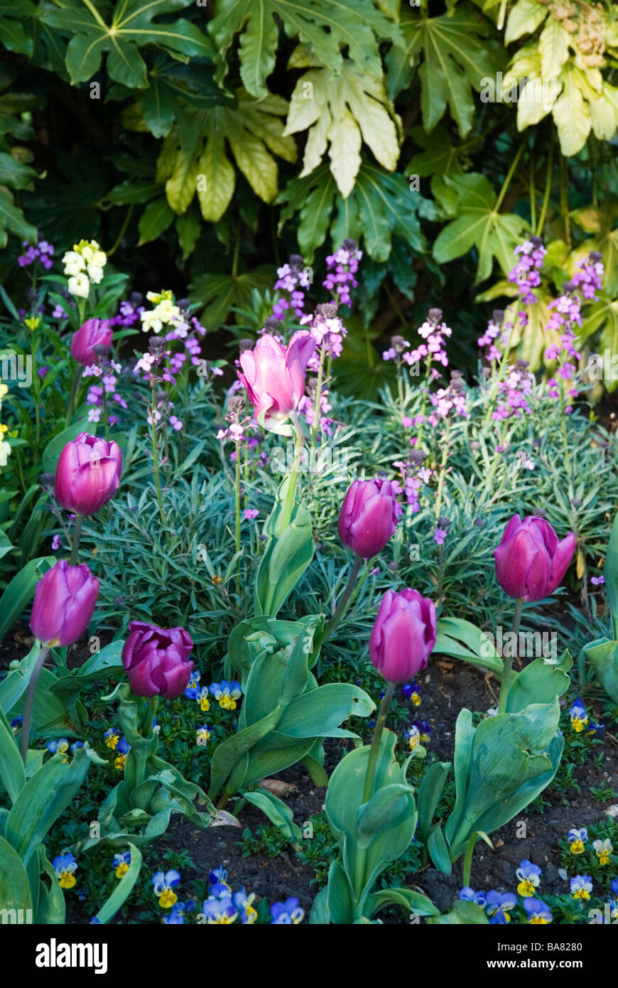 St jamess park flowers hi-res stock photography and images - Alamy