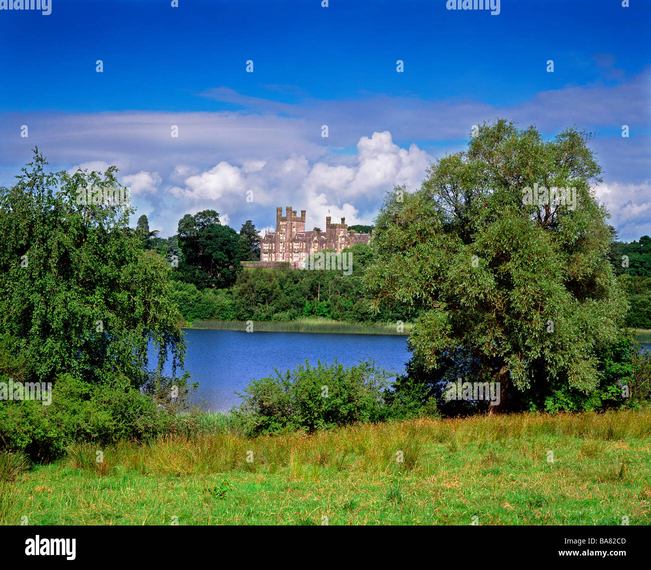Crom Castle Co Fermanagh Northern Ireland Stock Photo - Alamy