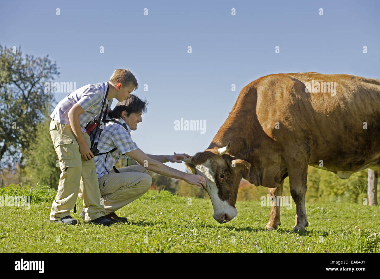 Caress father son hiking cow Stock Photo - Alamy
