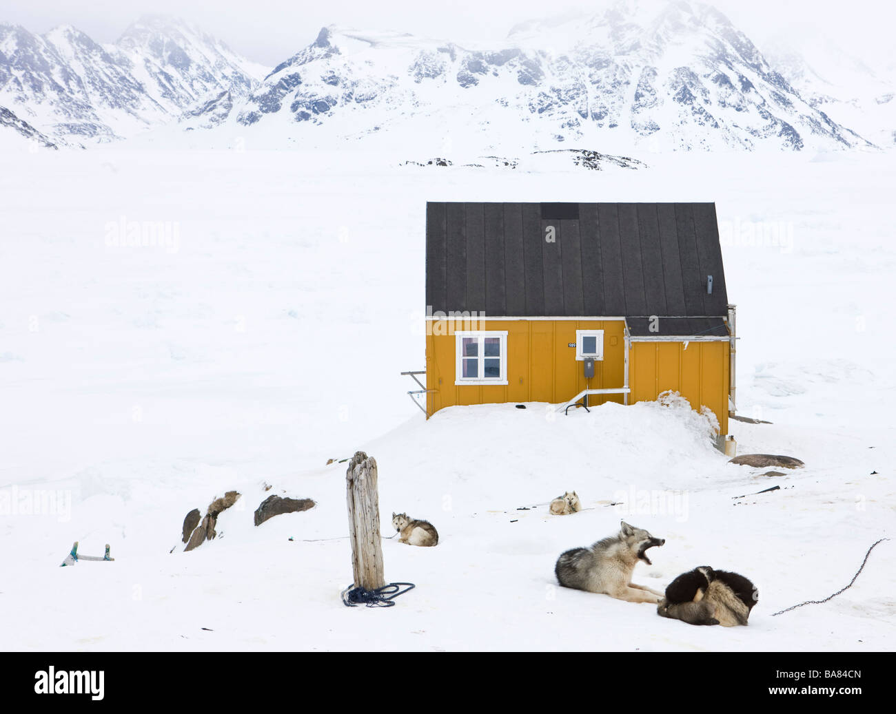 The village Kulusuk in Greenland Stock Photo - Alamy