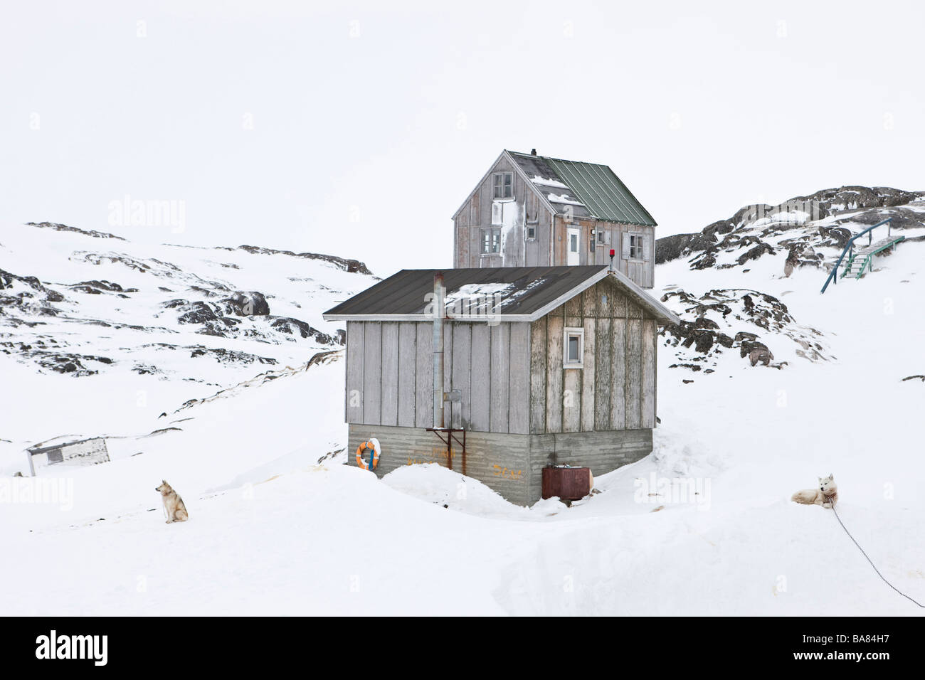 The village Kulusuk in Greenland Stock Photo - Alamy