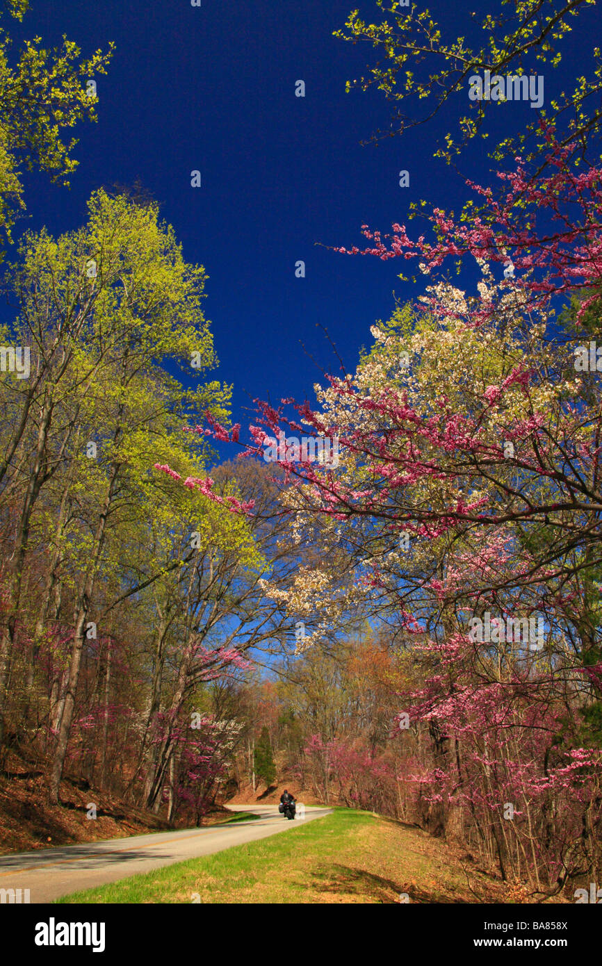 Blue ridge parkway motorcycle hi-res stock photography and images - Alamy