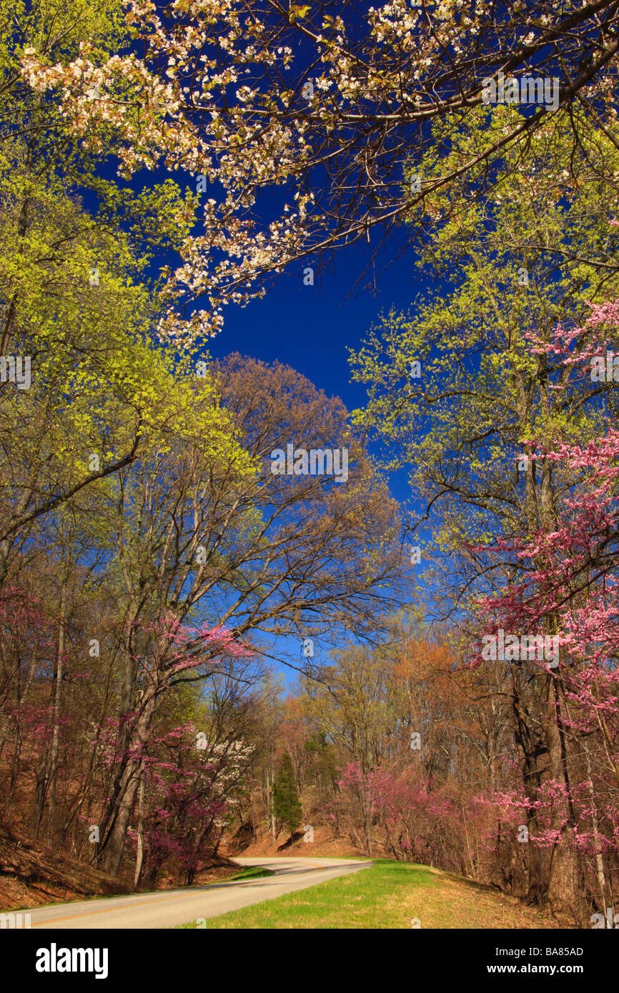 Blue ridge parkway motorcycle hi-res stock photography and images - Alamy