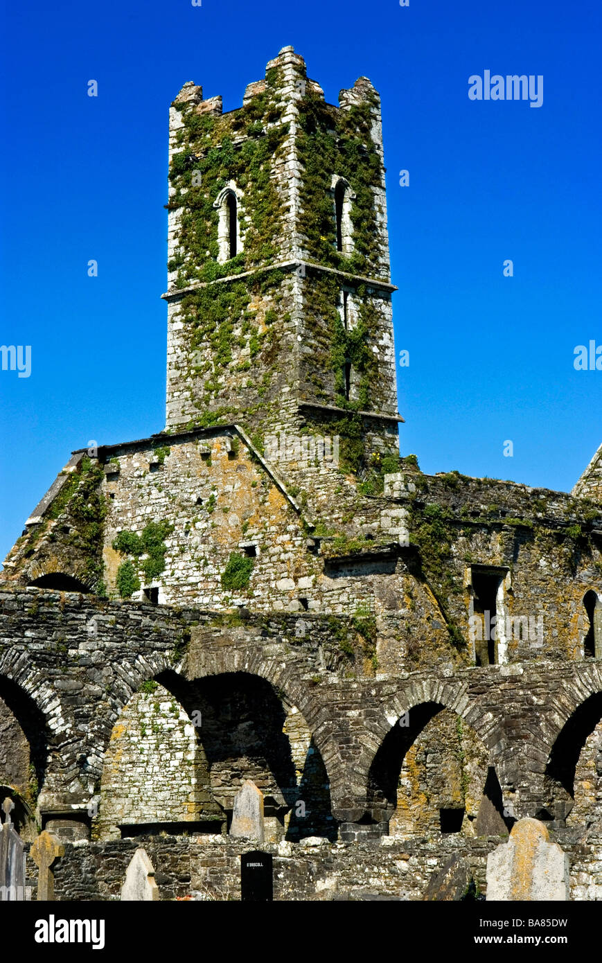 Church timoleague hi-res stock photography and images - Alamy