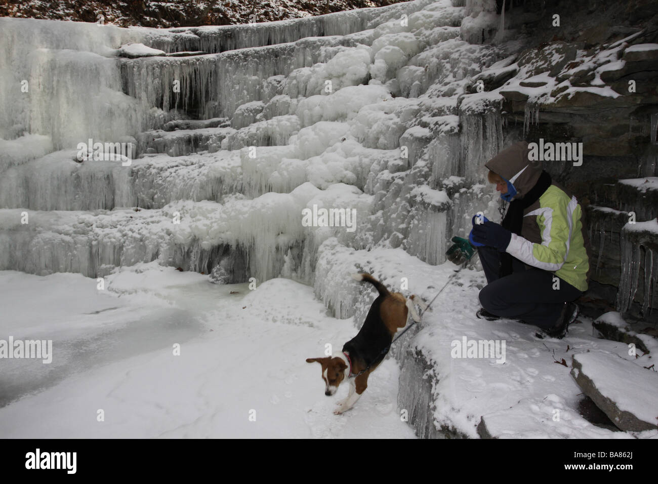 Dog waterfall hi-res stock photography and images - Alamy
