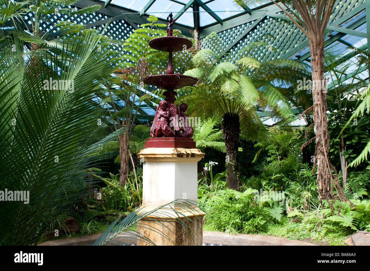 Fernery Glasshouse in Machattie Park Bathurst New South Wales Australia ...