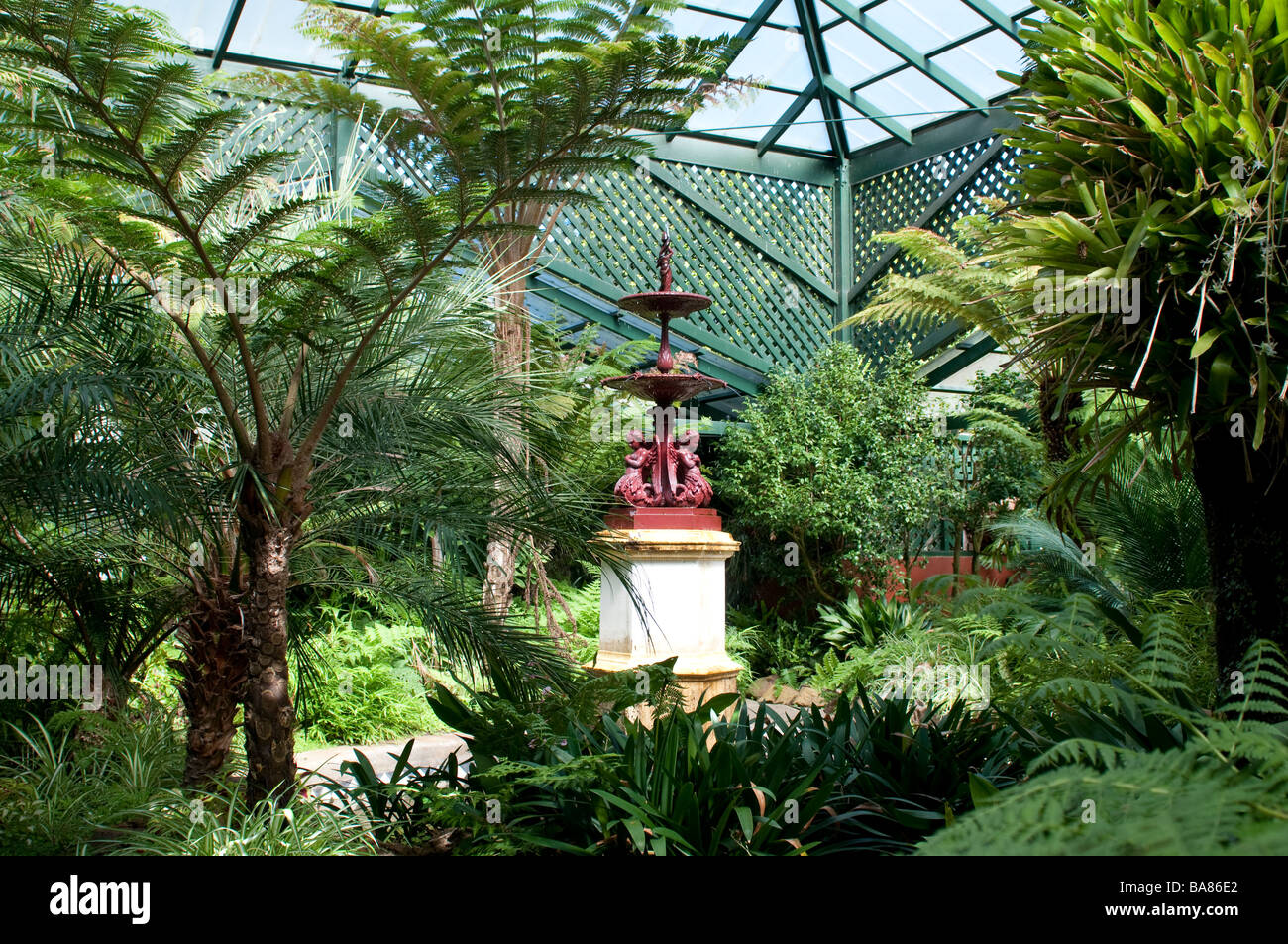 Fernery Glasshouse in Machattie Park Bathurst New South Wales Australia ...