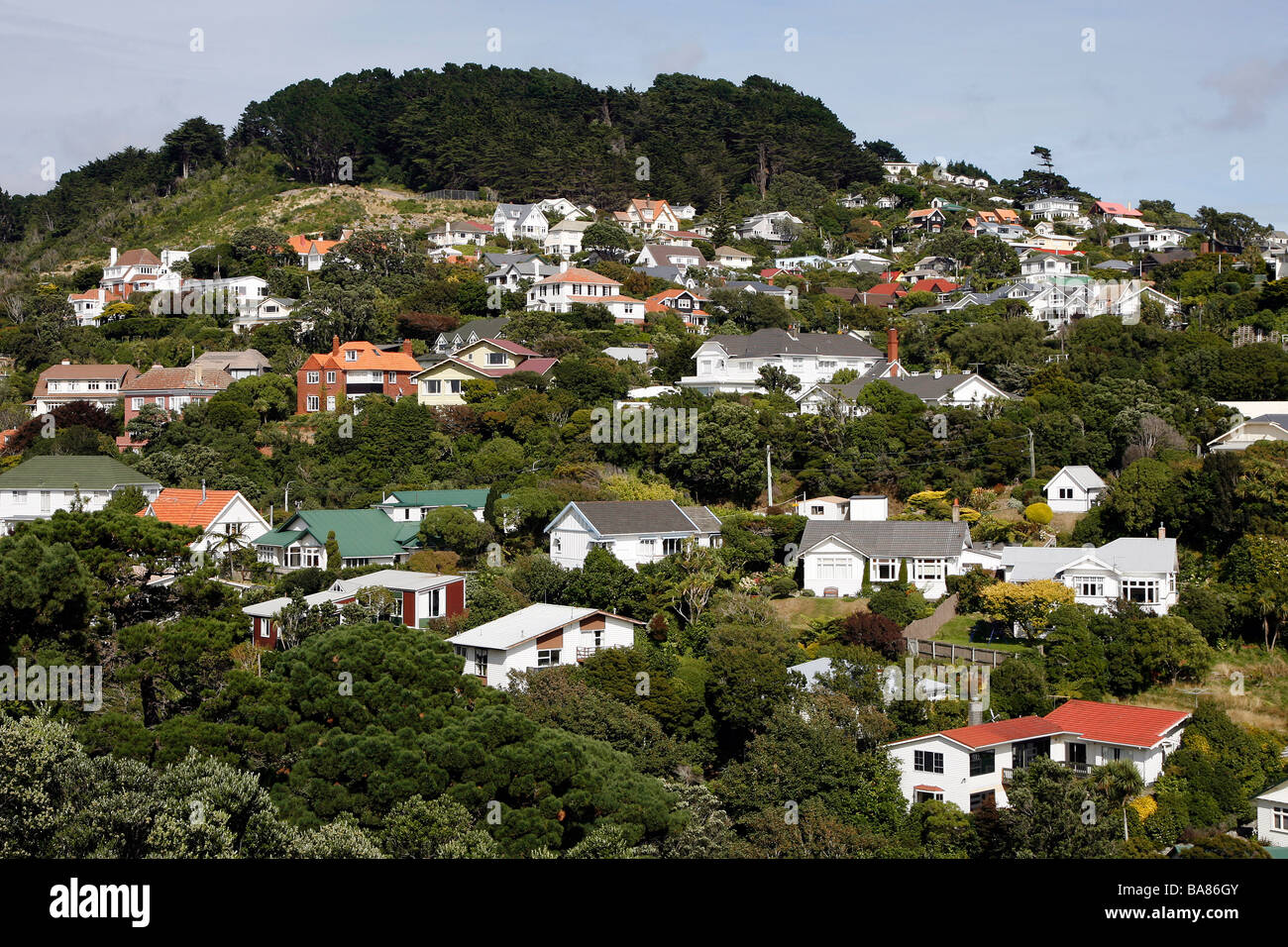 City view of wellington new zealand hi-res stock photography and images ...