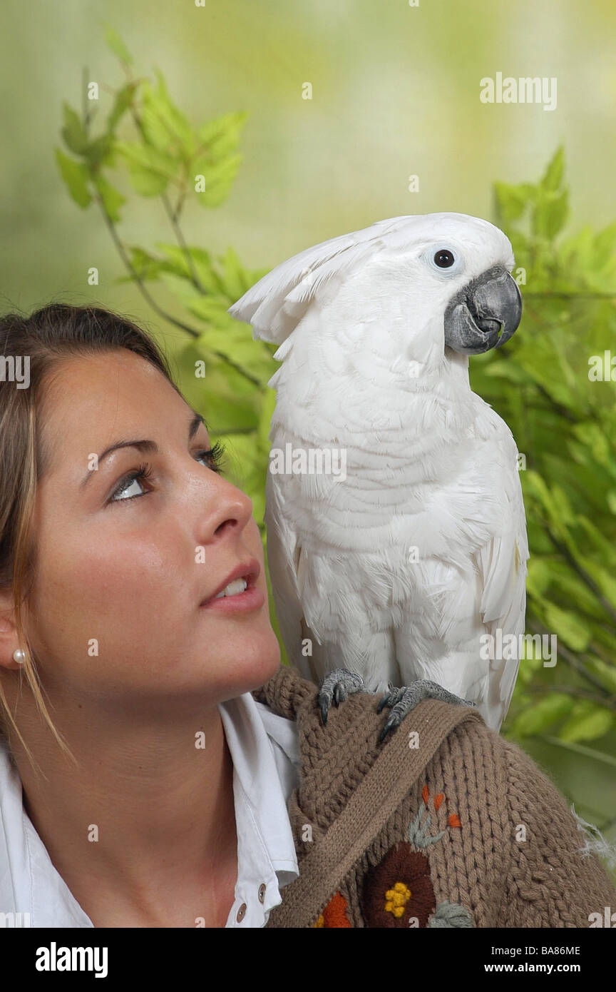 Woman with Umbrella Cockatoo on shoulder / Cacatua alba Stock Photo - Alamy