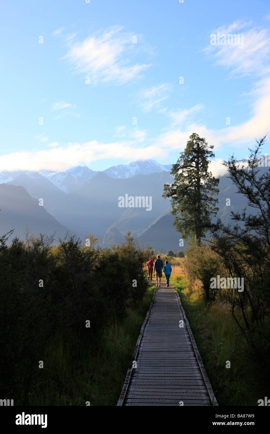 Tourists walking along boardwalk from Lake Matheson,NZ Stock Photo - Alamy