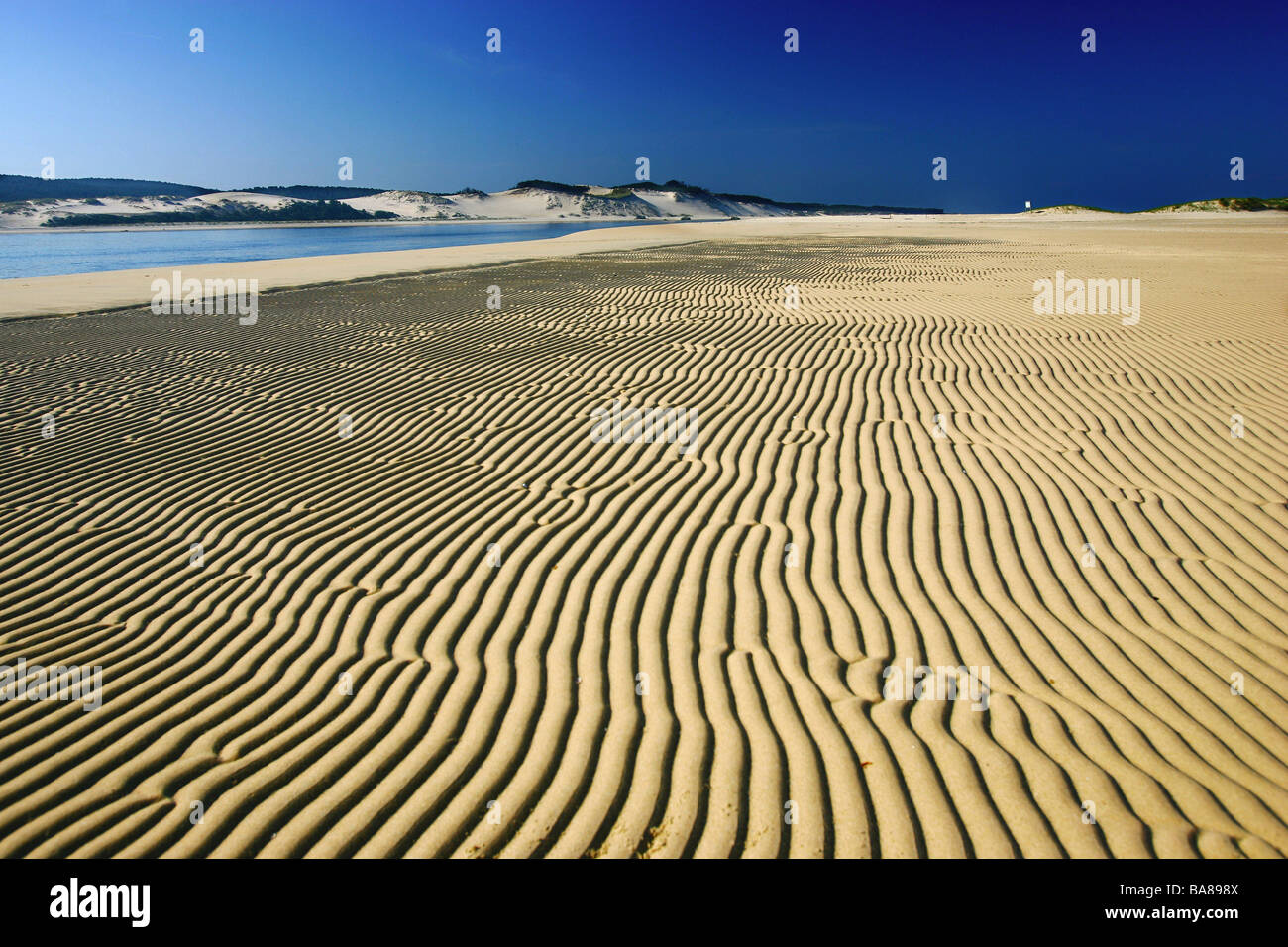 Arcachon Bay (33): The "Banc d'Arguin" nature reserve Stock Photo - Alamy
