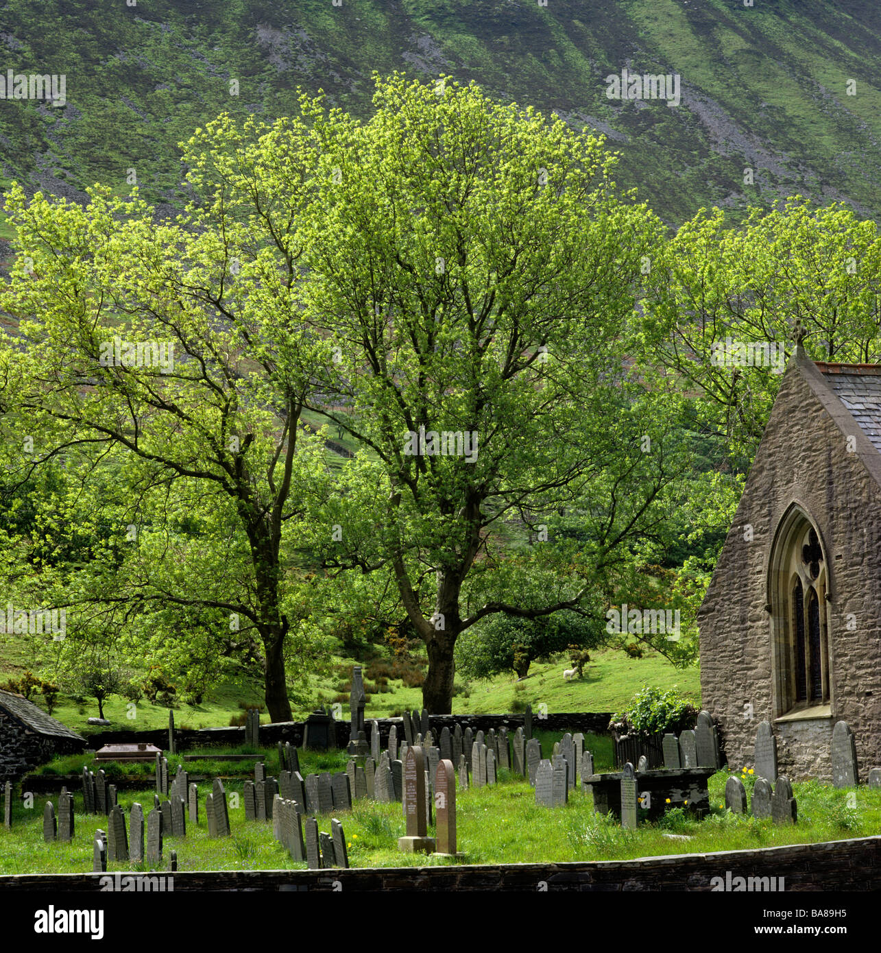 UK Wales Gwynedd Churchyard at Tal y Llyn Stock Photo - Alamy