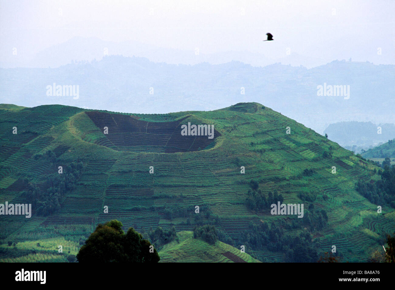 Crater of extinct volcano Stock Photo - Alamy