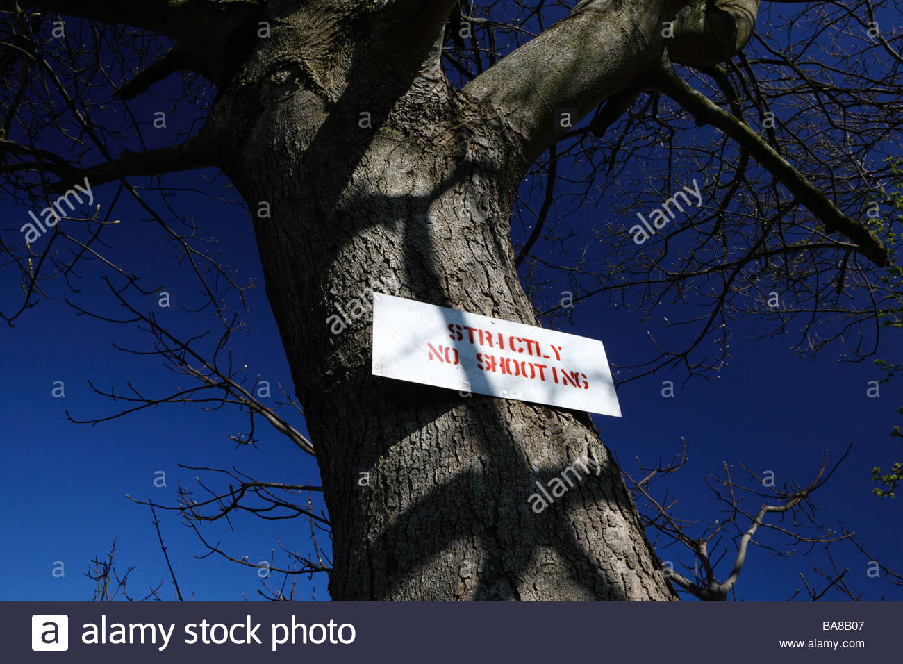 No Shooting Sign High Resolution Stock Photography and Images - Alamy