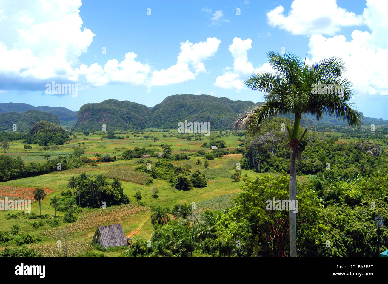 countryside, near Trinidad, Cuba Stock Photo - Alamy