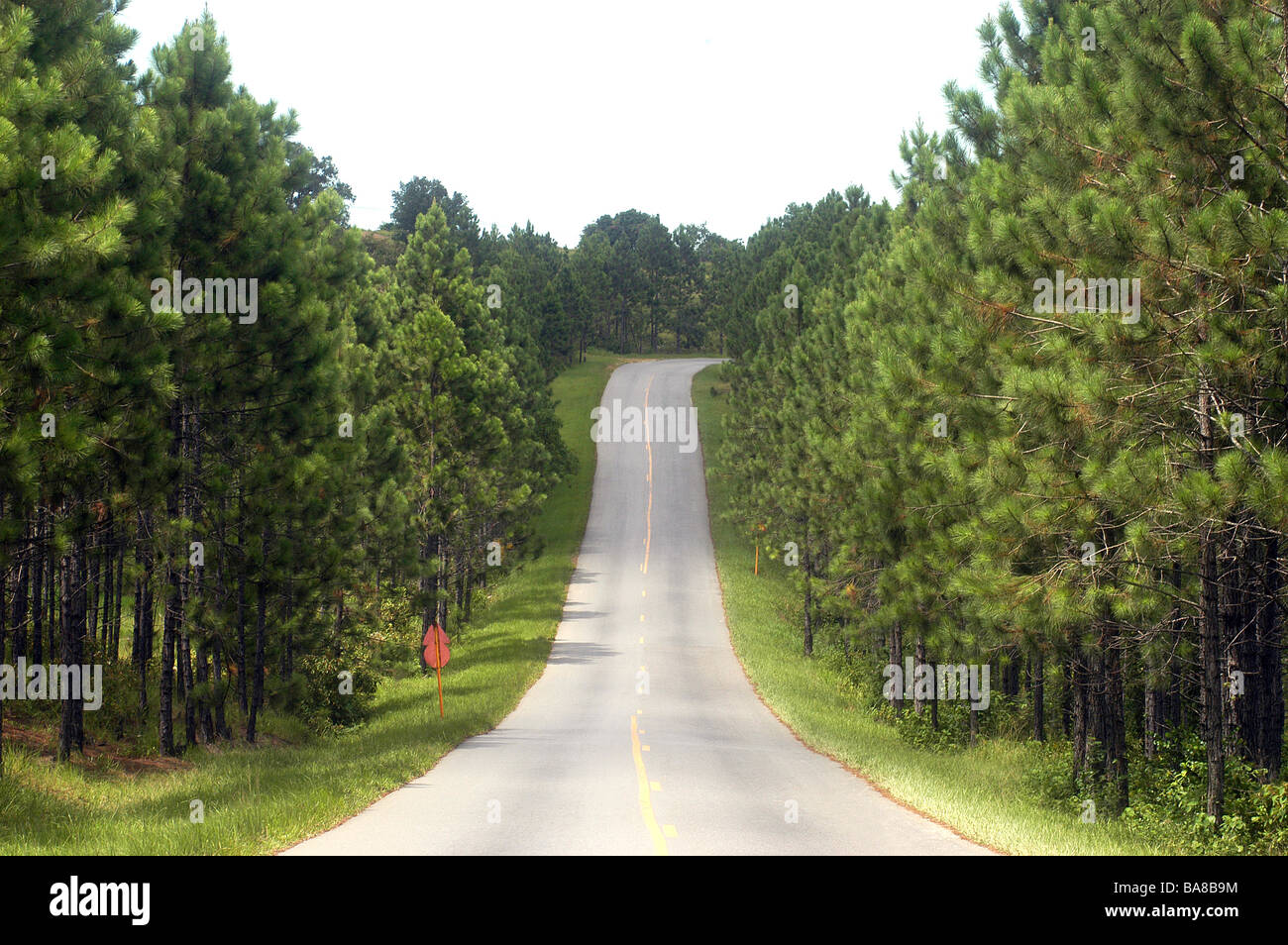Cuba road scenic nature hi-res stock photography and images - Alamy