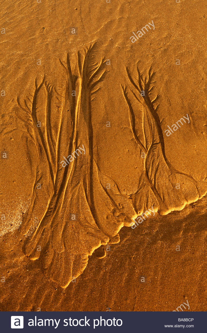 Sand Particles High Resolution Stock Photography and Images - Alamy