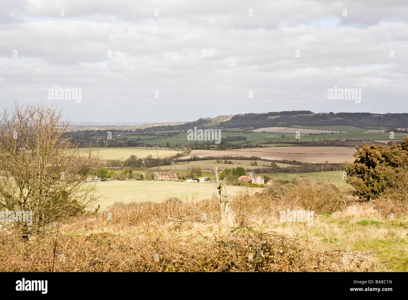 Whiteleaf Cross High Resolution Stock Photography and Images - Alamy