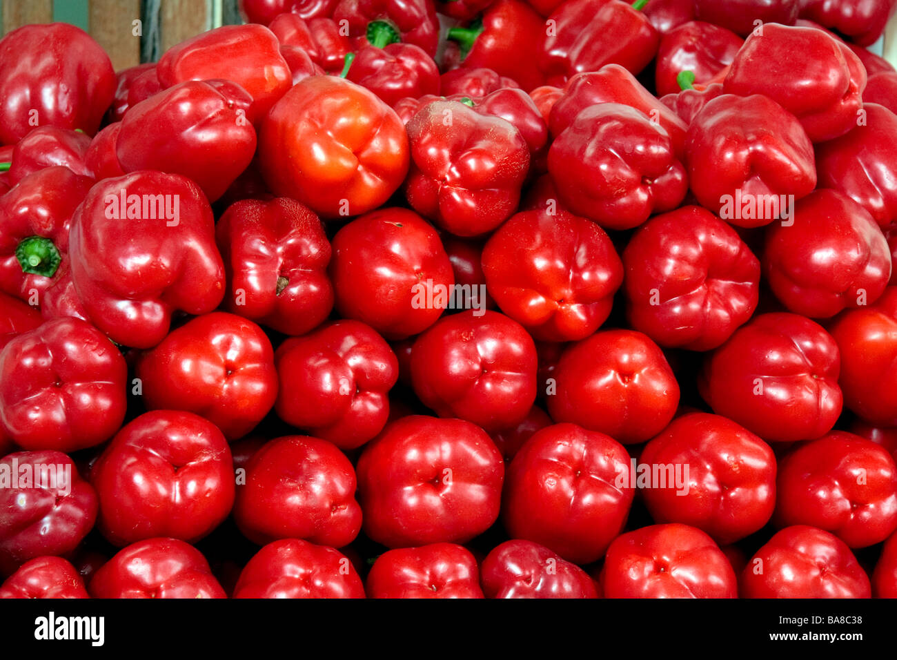 Red peppers on display in the fruit and vegetable market in Funchal ...
