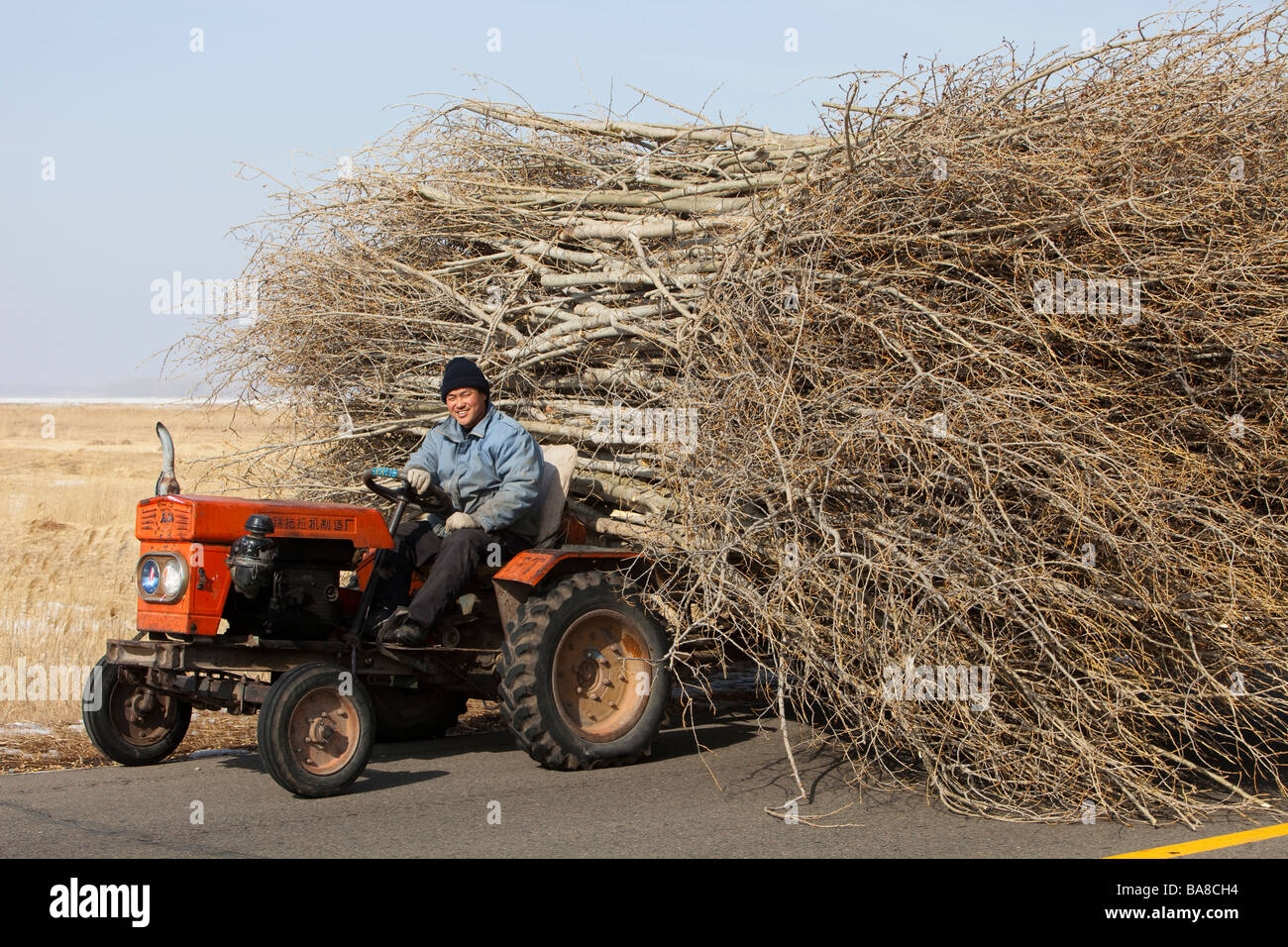 Chinese farmers haul a huge wide load of wood using a tiny tractor in ...
