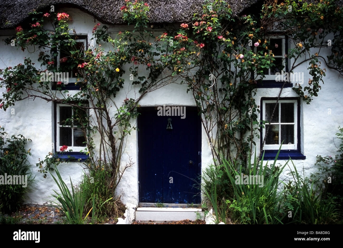 Welsh thatched roof cottage hi-res stock photography and images - Alamy