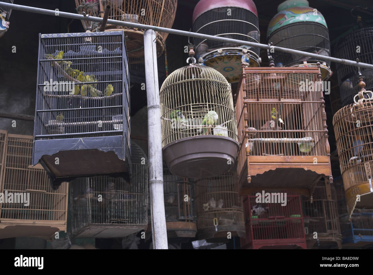 Bird Market, Pasar Burung, Jakarta, Indonesia Stock Photo - Alamy