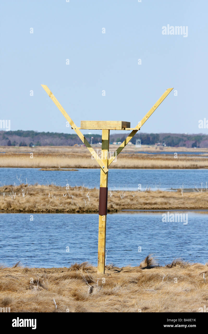 Osprey platform hi-res stock photography and images - Alamy
