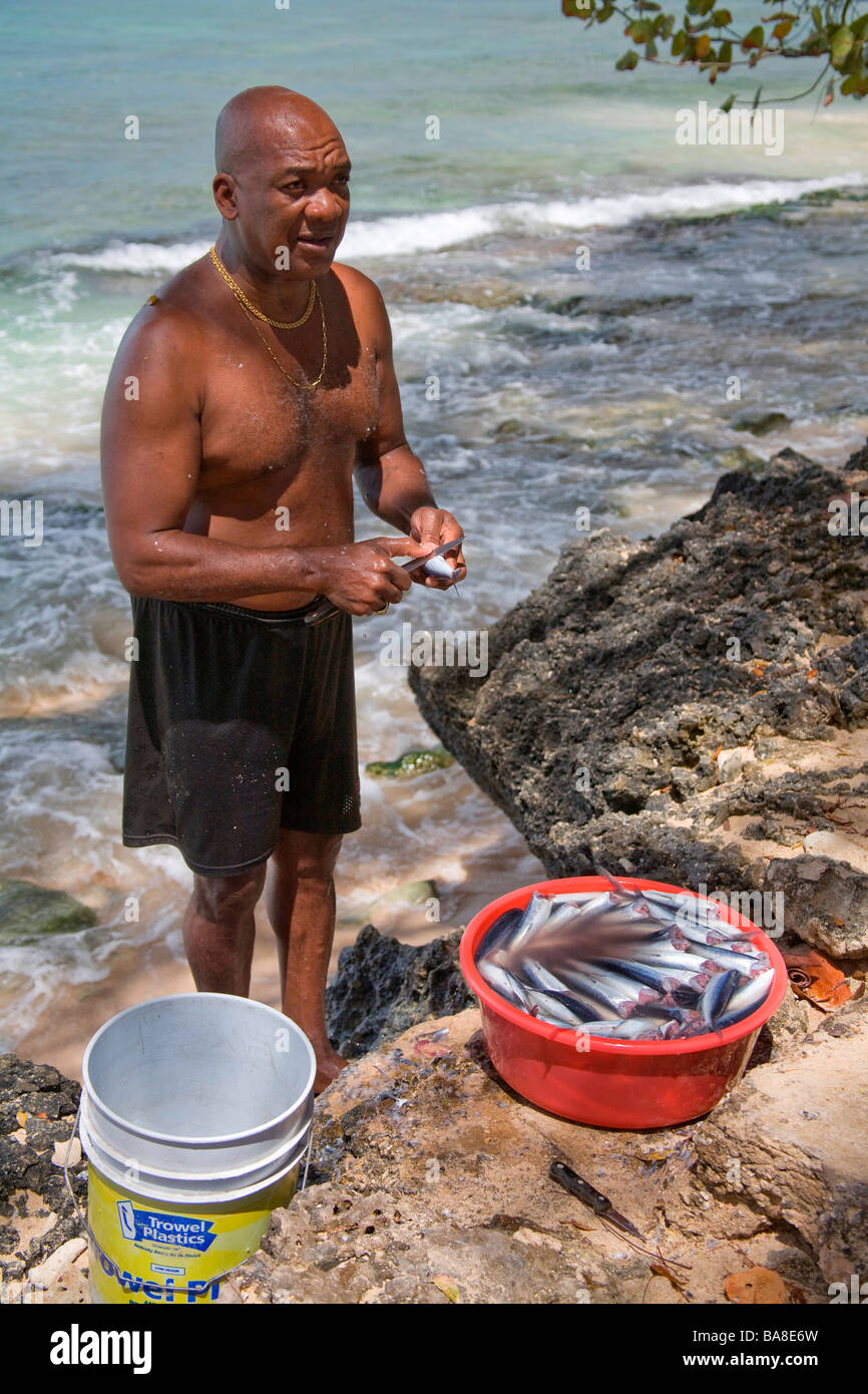 Barbados flying fish hi-res stock photography and images - Alamy