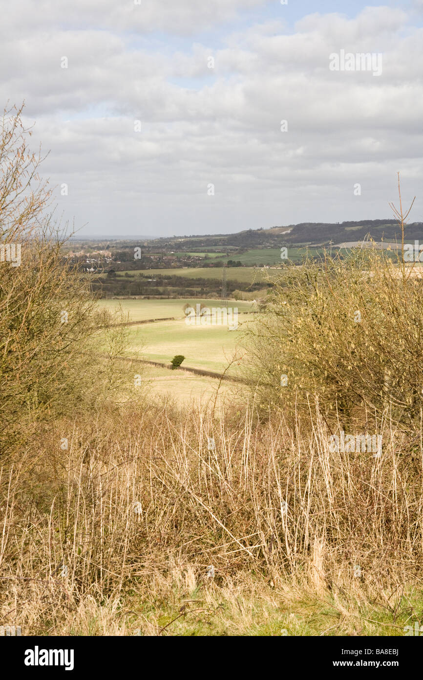 Whiteleaf cross hi-res stock photography and images - Alamy