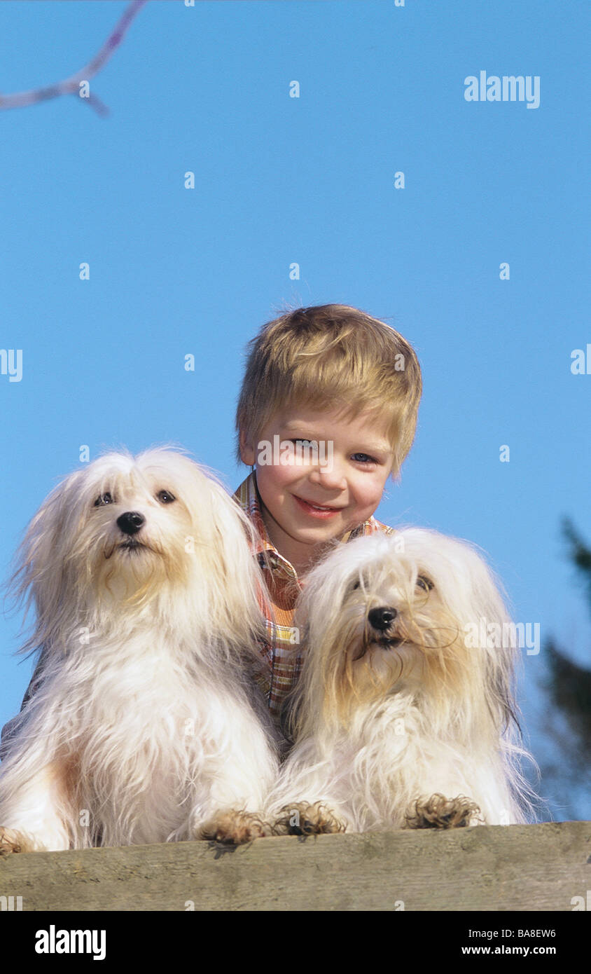 Boy with dogs hi-res stock photography and images - Alamy