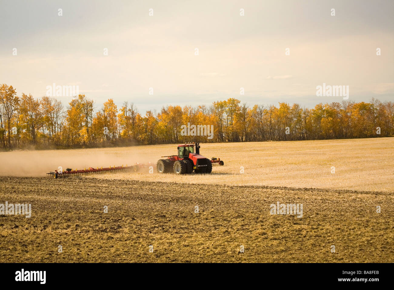 Field Tractor Harvesting High Resolution Stock Photography and Images ...