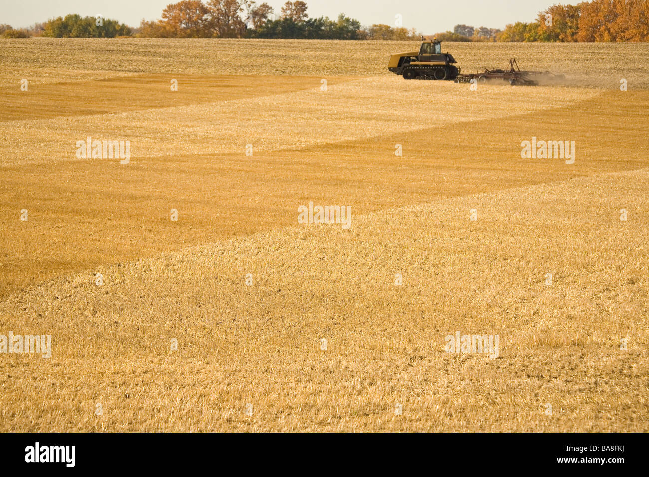 Field Tractor Harvesting High Resolution Stock Photography and Images ...