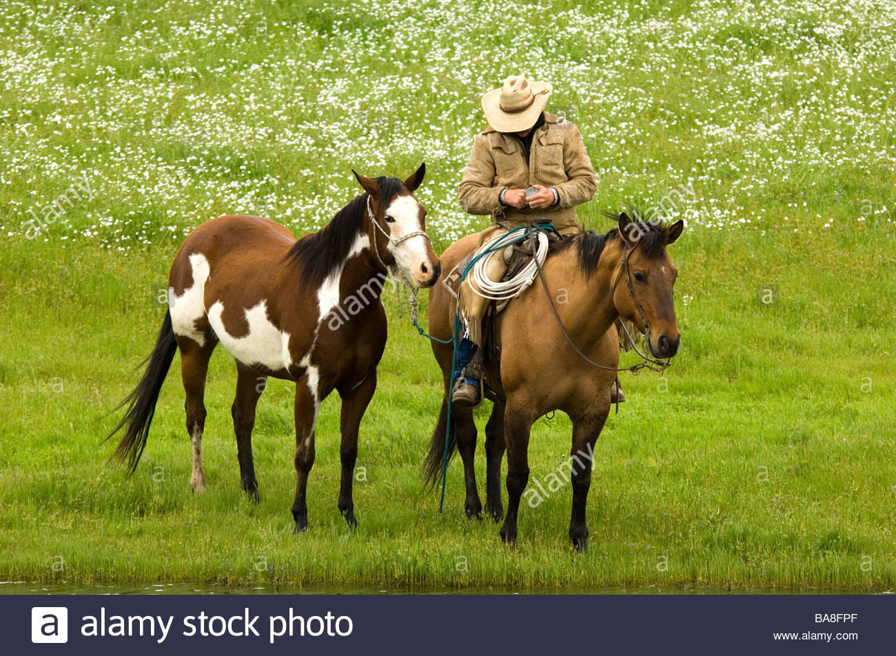 Two Cowboys Riding Horses Stock Photos & Two Cowboys Riding Horses ...