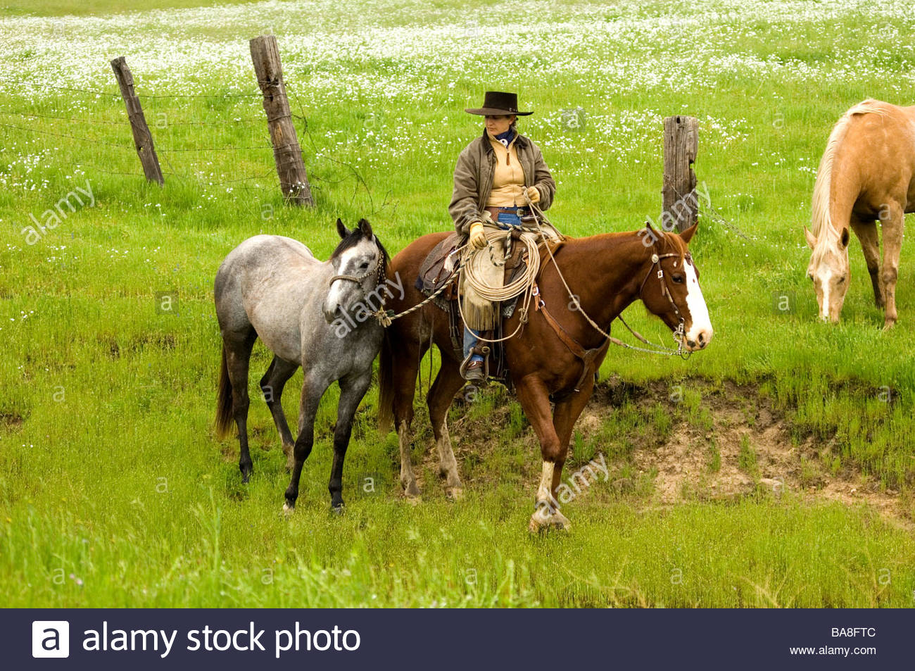 Two Cowboys Riding Horses Stock Photos & Two Cowboys Riding Horses ...