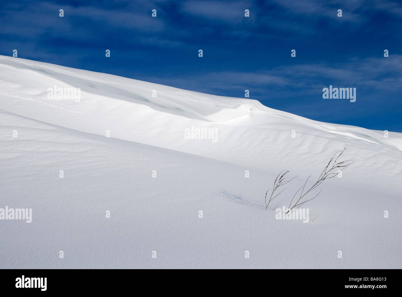 Snow covered slope with blue sky Stock Photo - Alamy