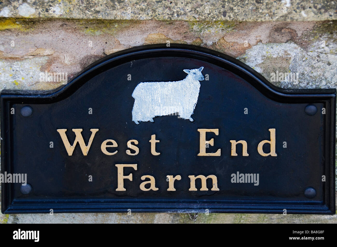 West end farm hi-res stock photography and images - Alamy
