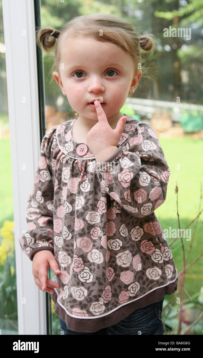 Looking Sheepish High Resolution Stock Photography and Images - Alamy